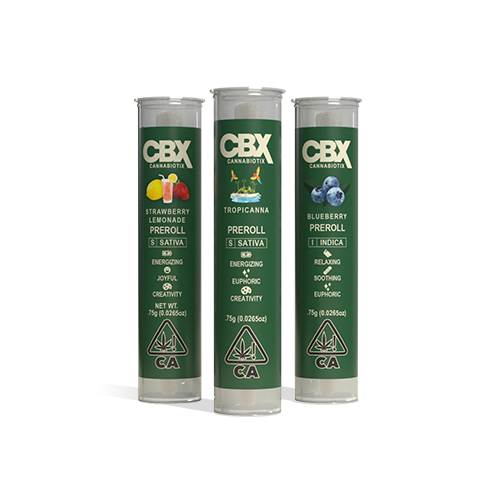 Red Eye OG Premium Flower | CANNABIOTIX