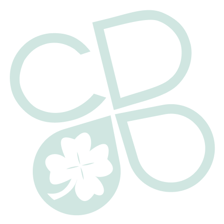 Web App Development Cost Estimation Calculator Cleverdev