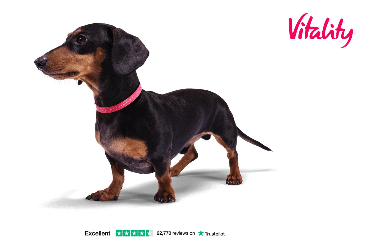 Vitality Health Insurance Review - Read the Latest Findings