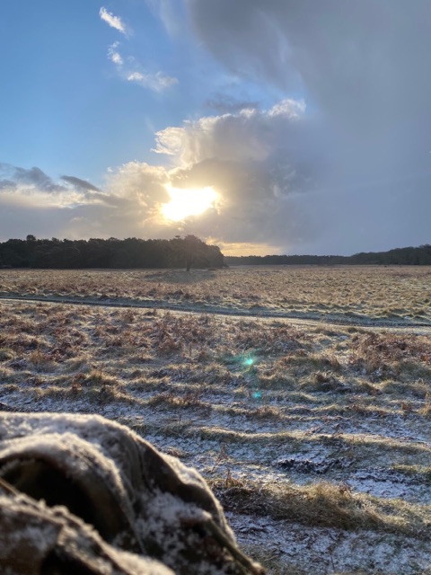 The Royal Scots Dragoon Guards - Mission Specific Training for ...