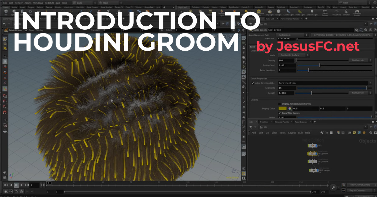 Introduction to Houdini Groom