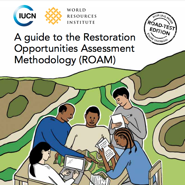 Qué es ROAM y porqué debería importarte
