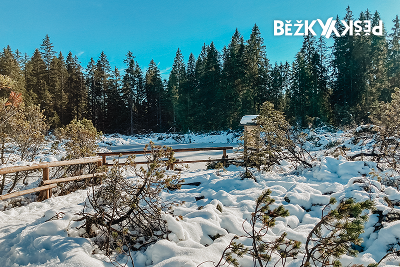 Údolím Roklanského potoka k Tříjezerní slati na běžkách