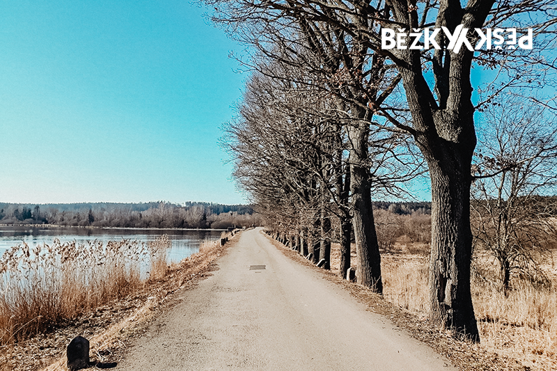 Turistů ráj — Běžky nebo pěšky