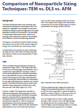 LVEM – Delong Instruments