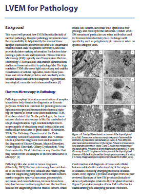 LVEM – Delong Instruments