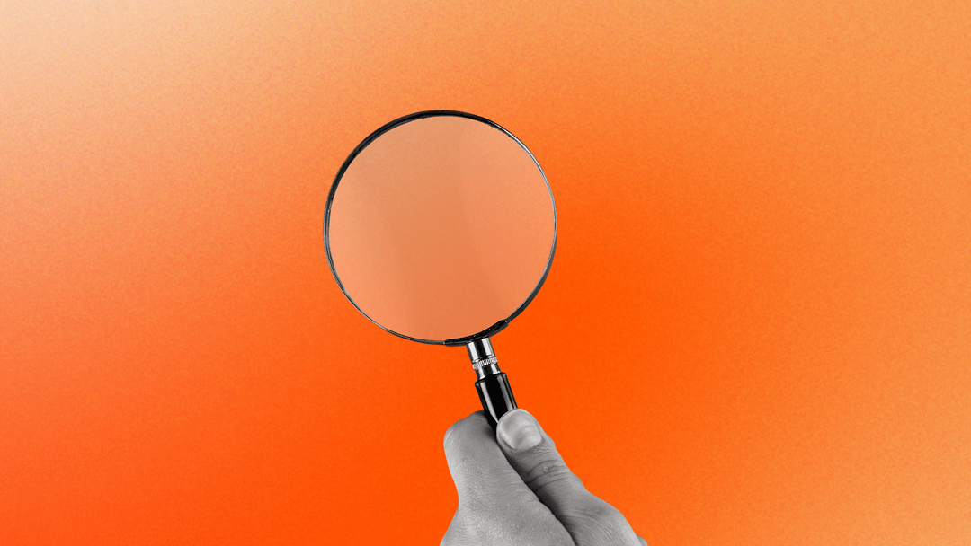 How to Run a Dating Background Check and What to Look For