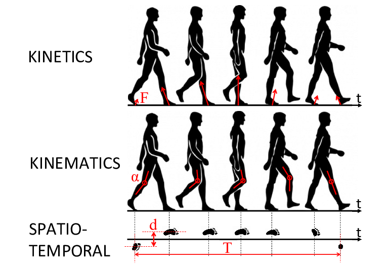 An Introduction To Gait Analysis Types Applications Of Gait 54 Off