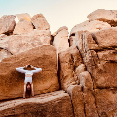 Story | Janet Stone Yoga