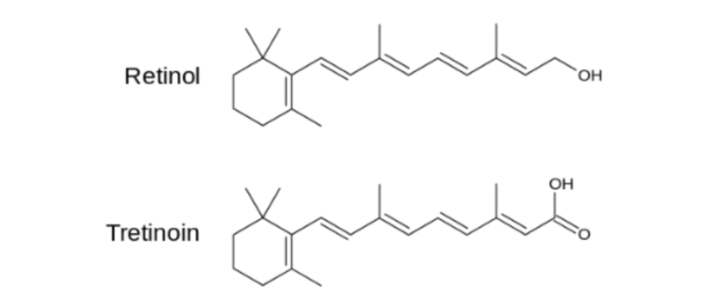 Retinol vs Retin a vs Retinoid vs Tretinoin: What’s the Difference ...