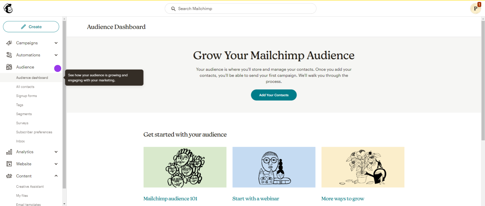 How to Remove Bounced Emails from Mailchimp: 1-Min Guide