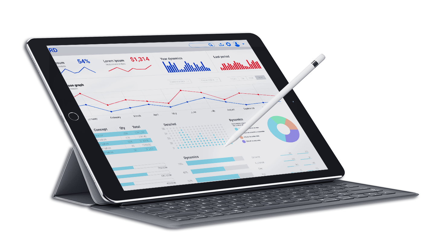 Small Business Accounting Software - Custom Services | BizEx