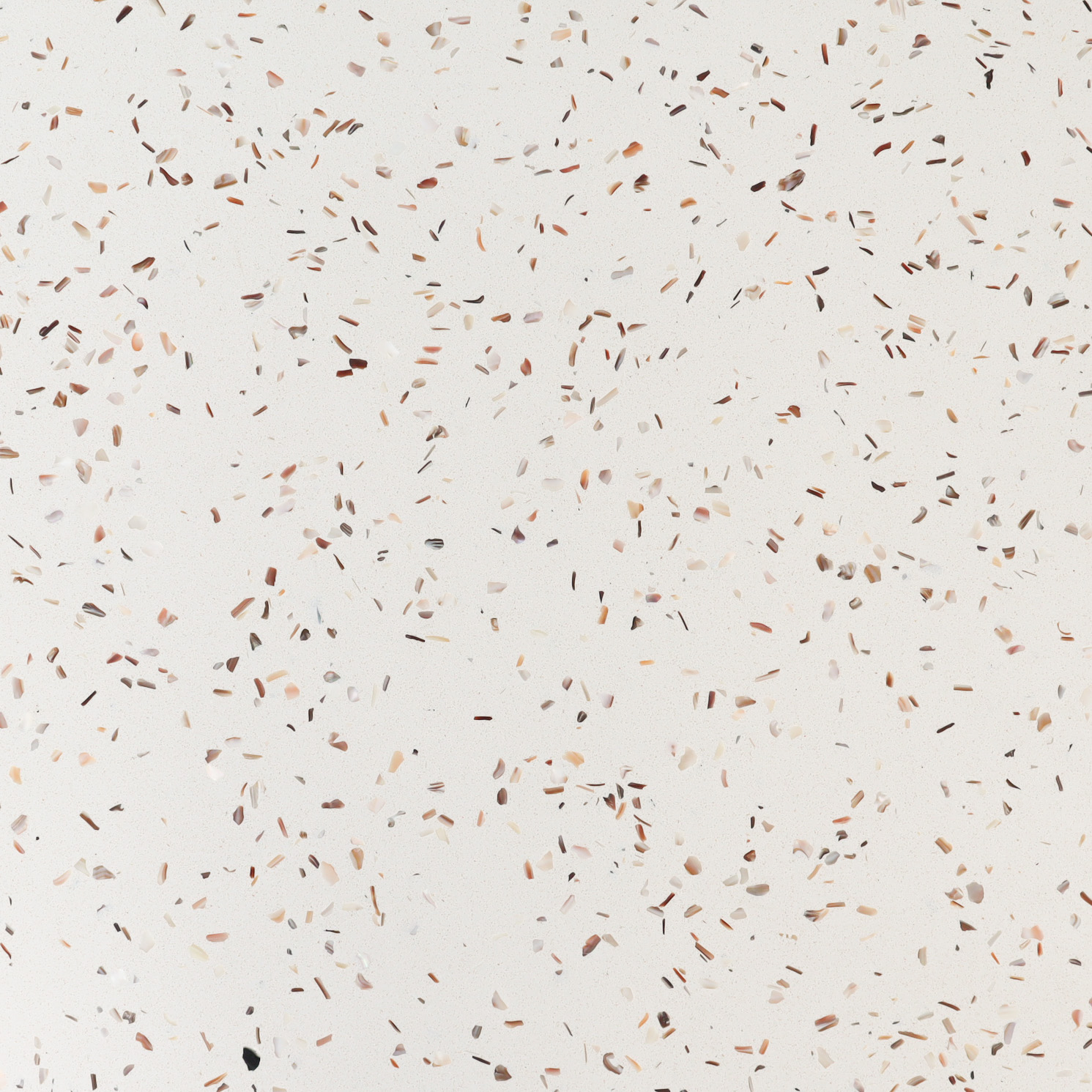 Palms Extra from RMC Classico