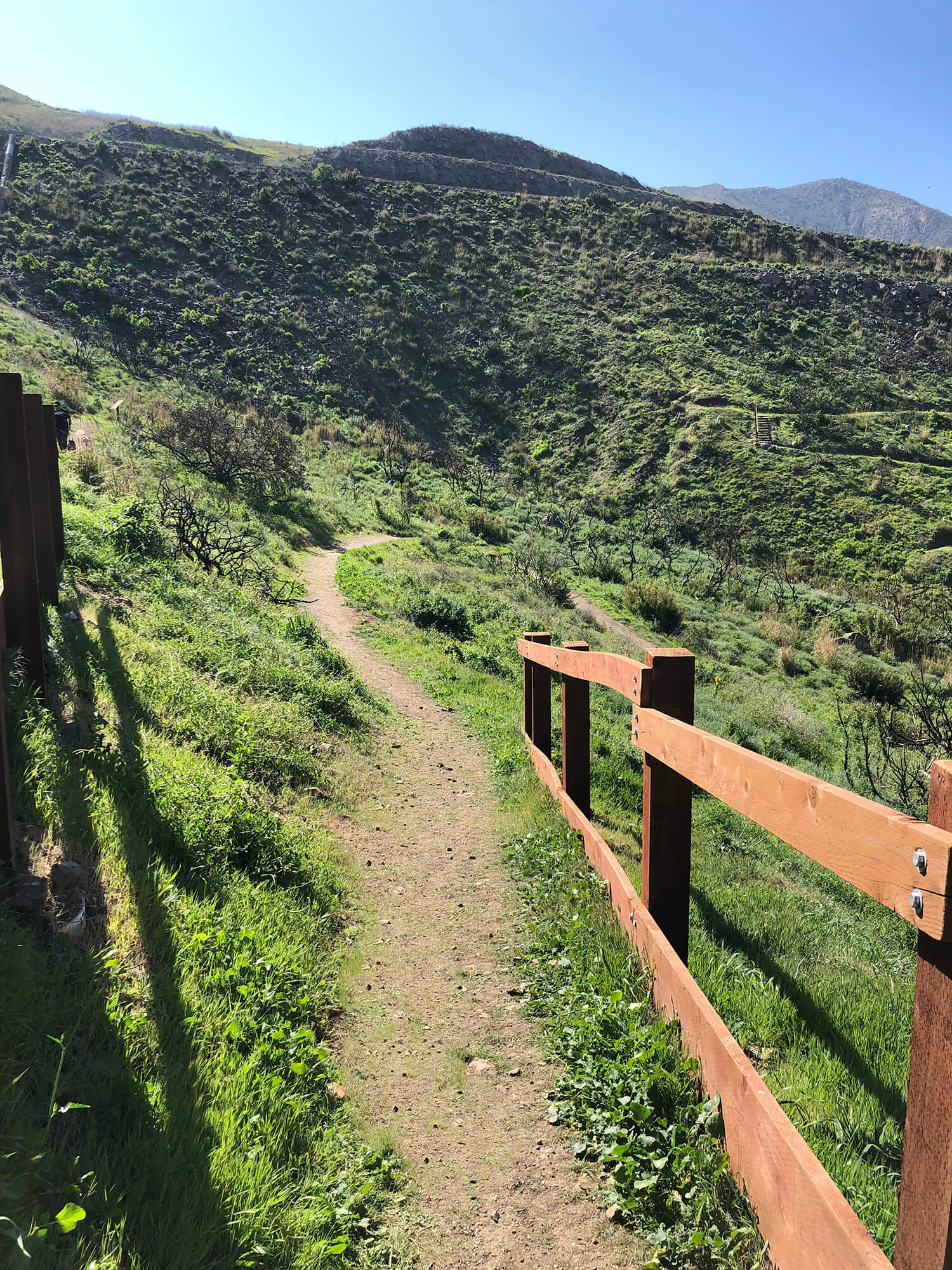 Safe and Reliable Bus Charter Rentals in Ventura County | Pegasus Transit