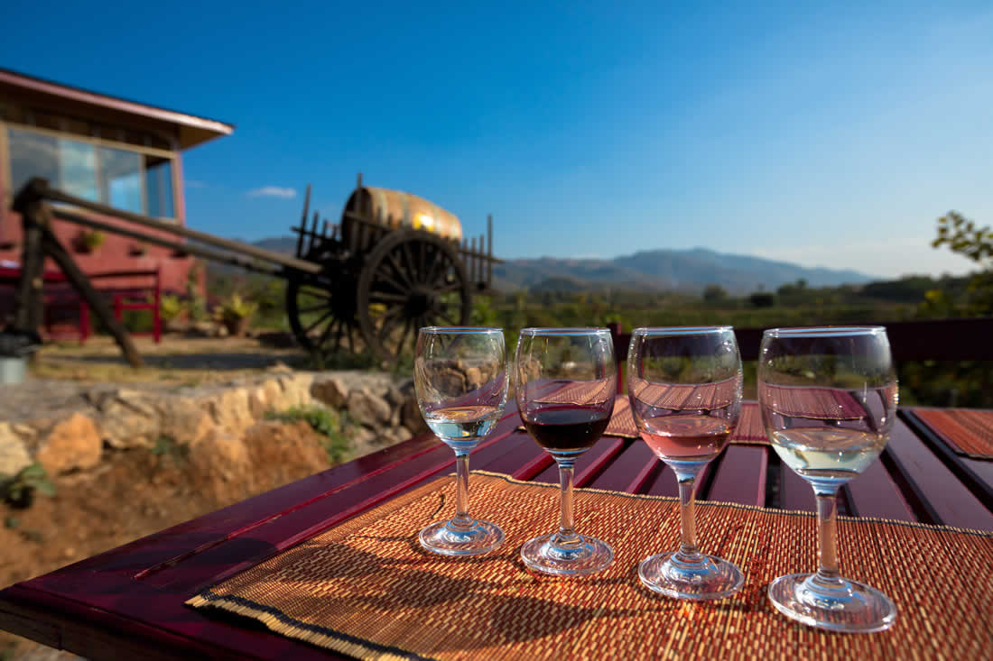 An Essential Guide to Southern California Wine Tours