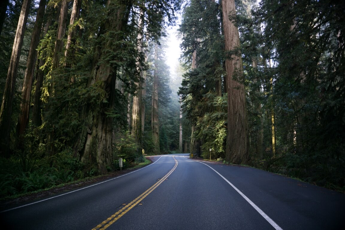 Underrated Places to Visit in California During Spring Break 2022
