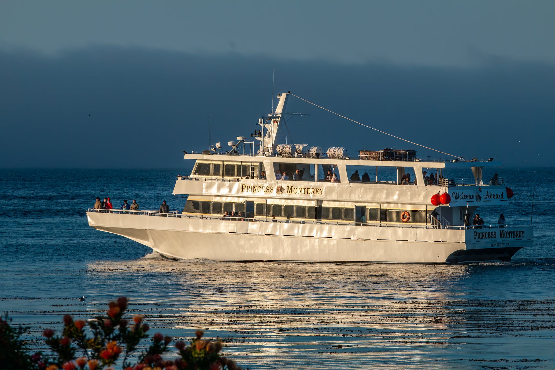 Uncover The Best Boat Tours in California: Your Ultimate Guide to ...