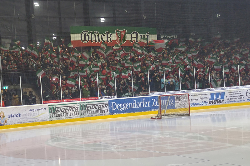 German Hockey Leagues