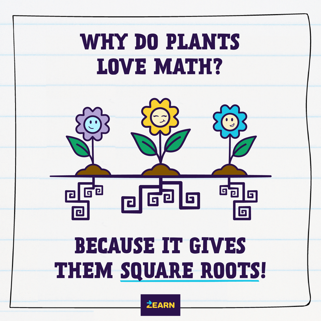Zearn Downloads - Math Puns