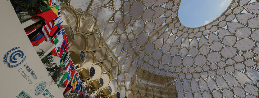 Let’s Do It World and World Cleanup Day make a splash at COP28. | World ...