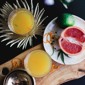 Fable Drinks | Masterfully crafted THC- infused beverages