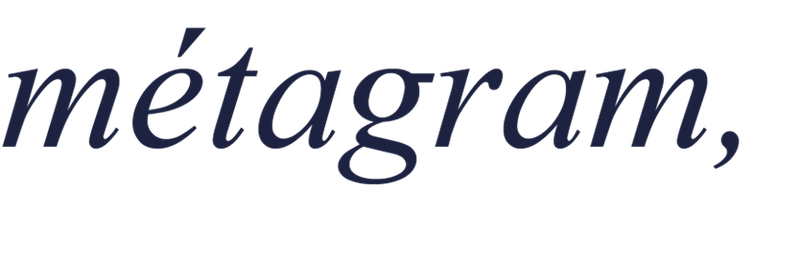 Meanings Capital Partners investit dans le Wealth Management chez Metagram