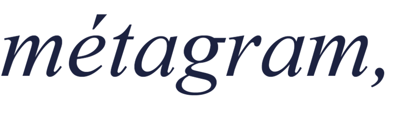 Meanings Capital Partners investit dans le Wealth Management chez Metagram