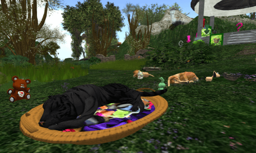 KittyCatS | Second Life Destinations