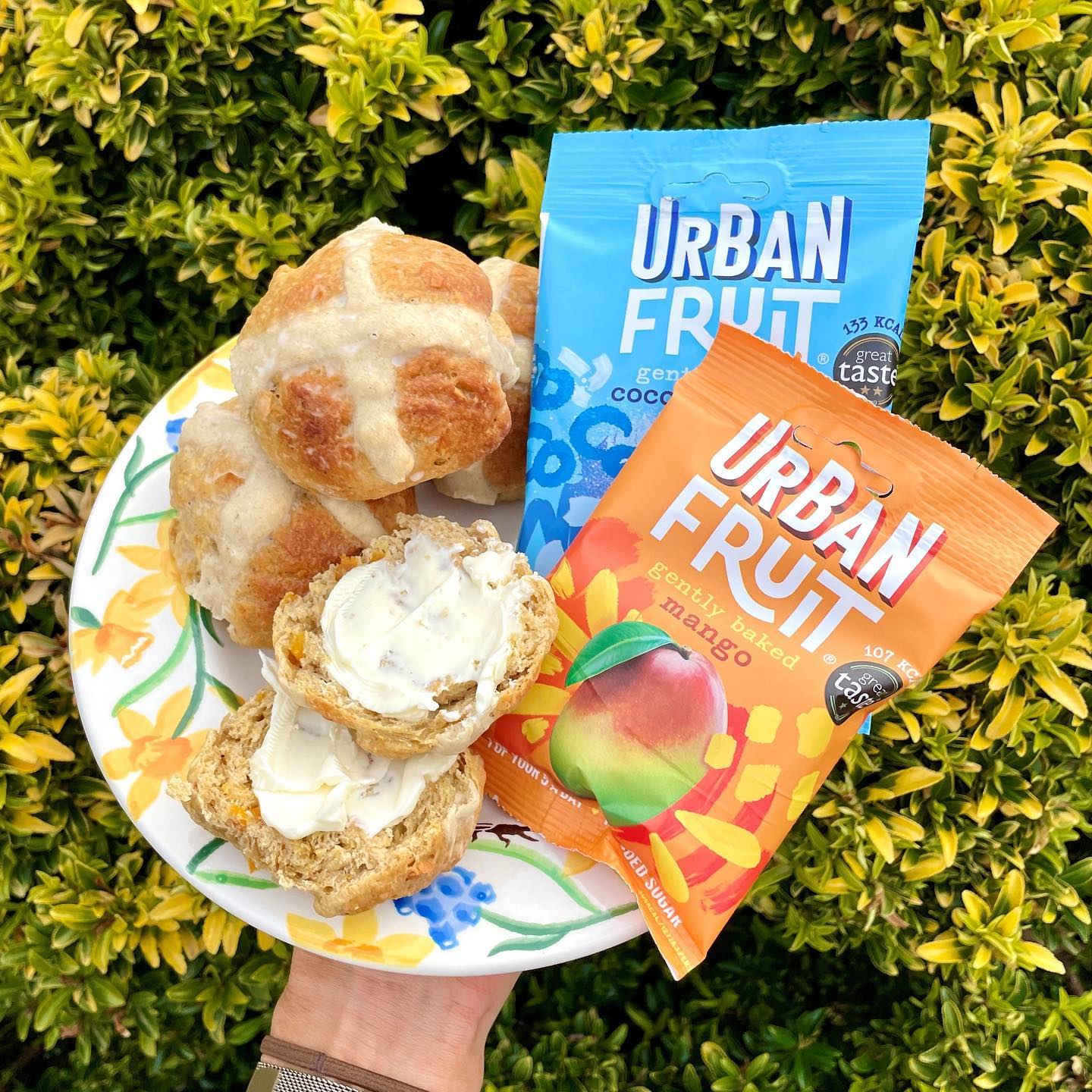 Urban Fruit | Good to Go Snack | Gently Baked Fruit