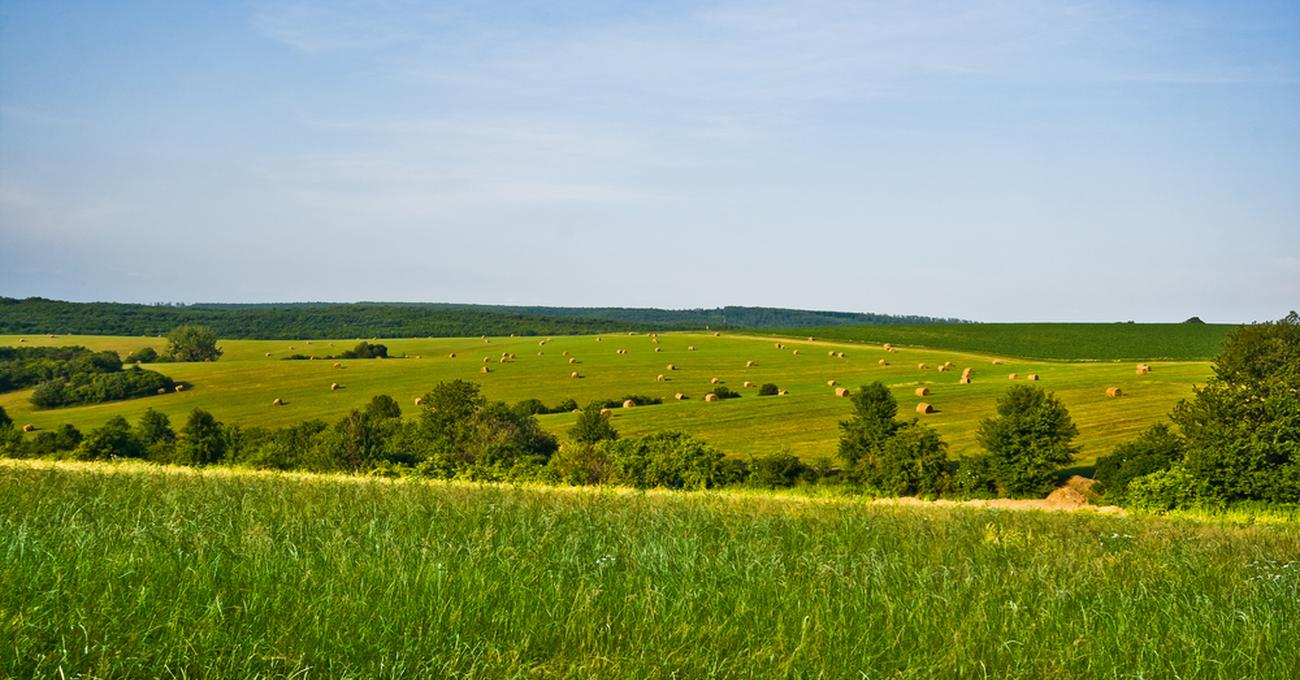 How Big Is 10 Acres Of Land? | askBAMLand