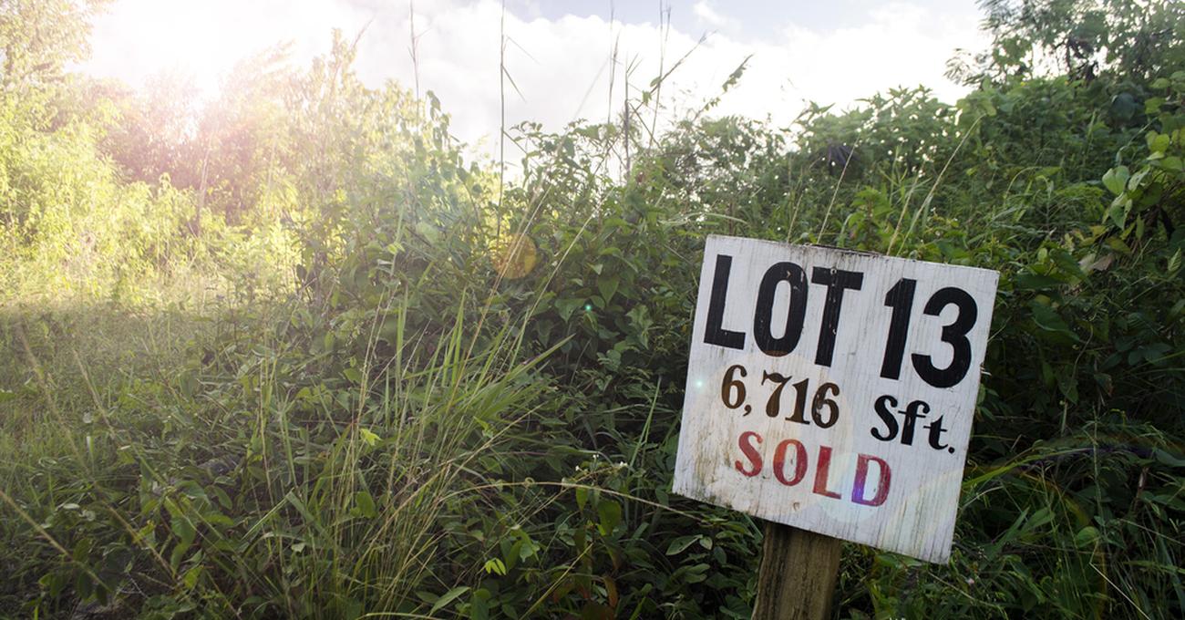 What Is Undeveloped Land? | askBAMLand