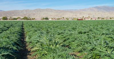 Mineral & Surface Rights Guide To Understanding | askBAMLand