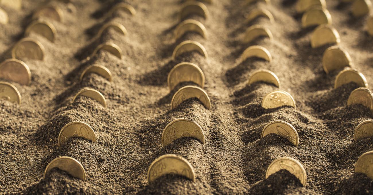 How To Make Money With Vacant Rural Land | askBAMLand