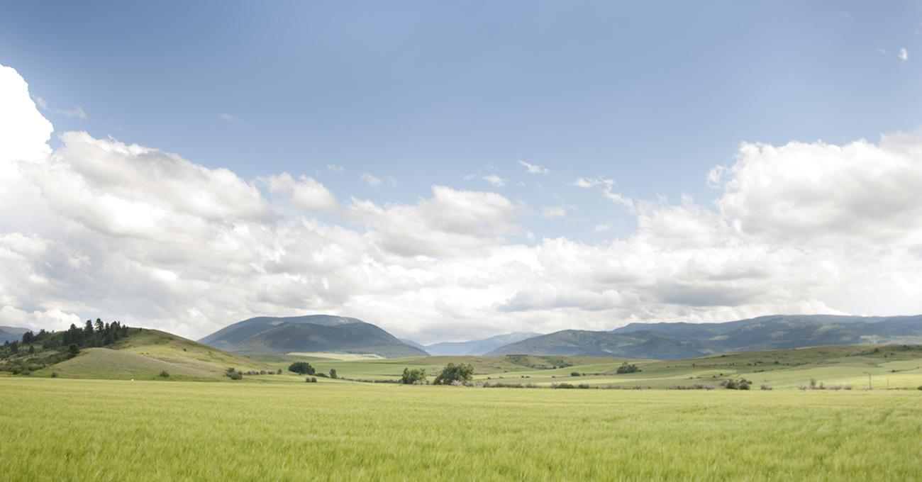 Parcel Access Vs Public Access Vs Open Range | askBAMLand