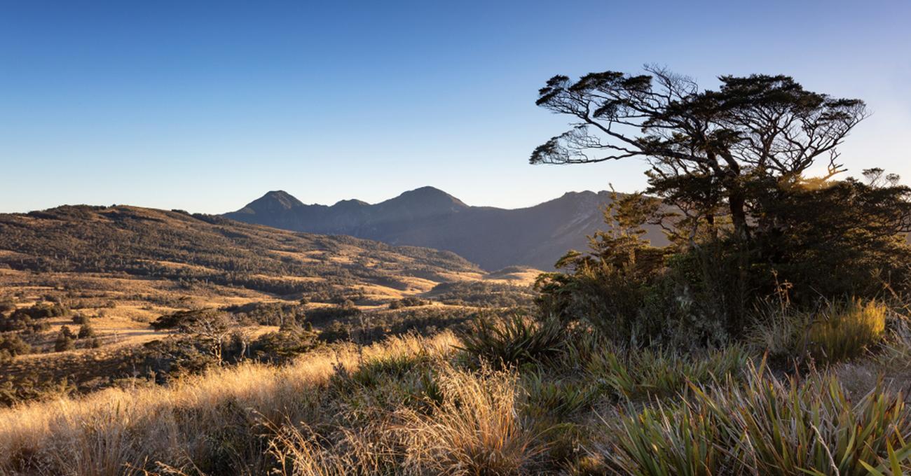 How Big Is 1000 Acres Of Land AskBAMLand