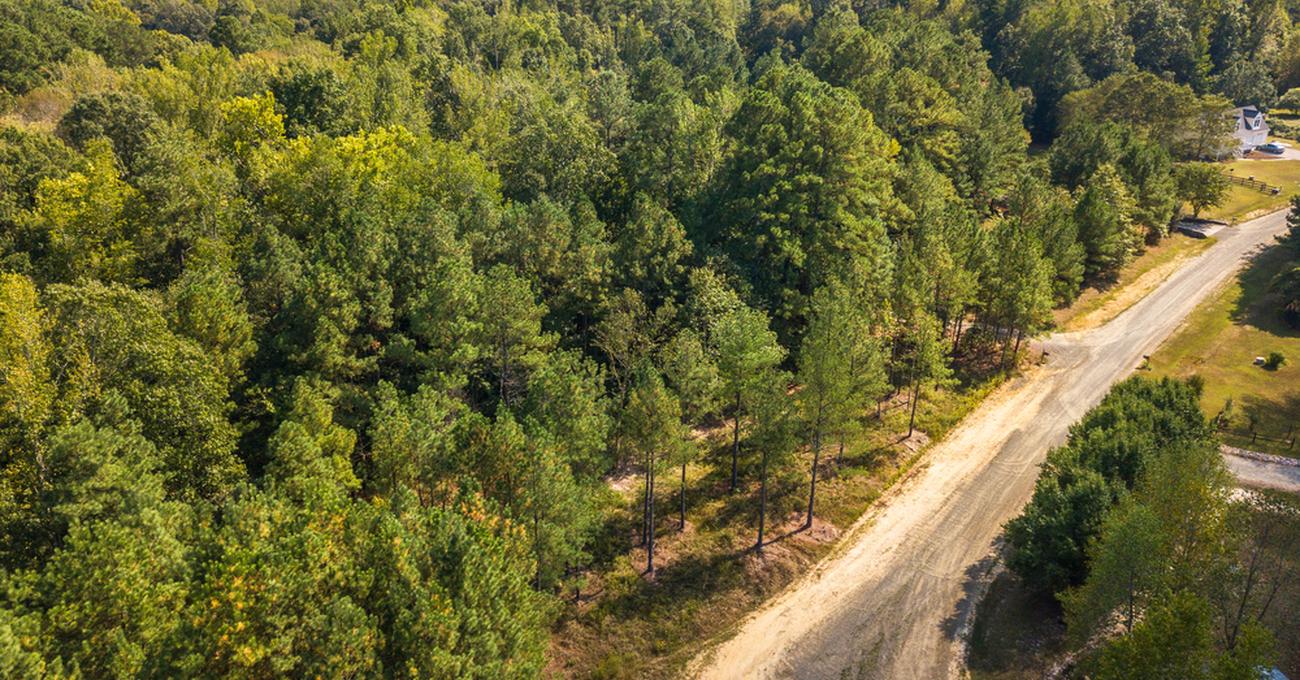 How To Tell If You Can Build On Undeveloped Land | askBAMLand