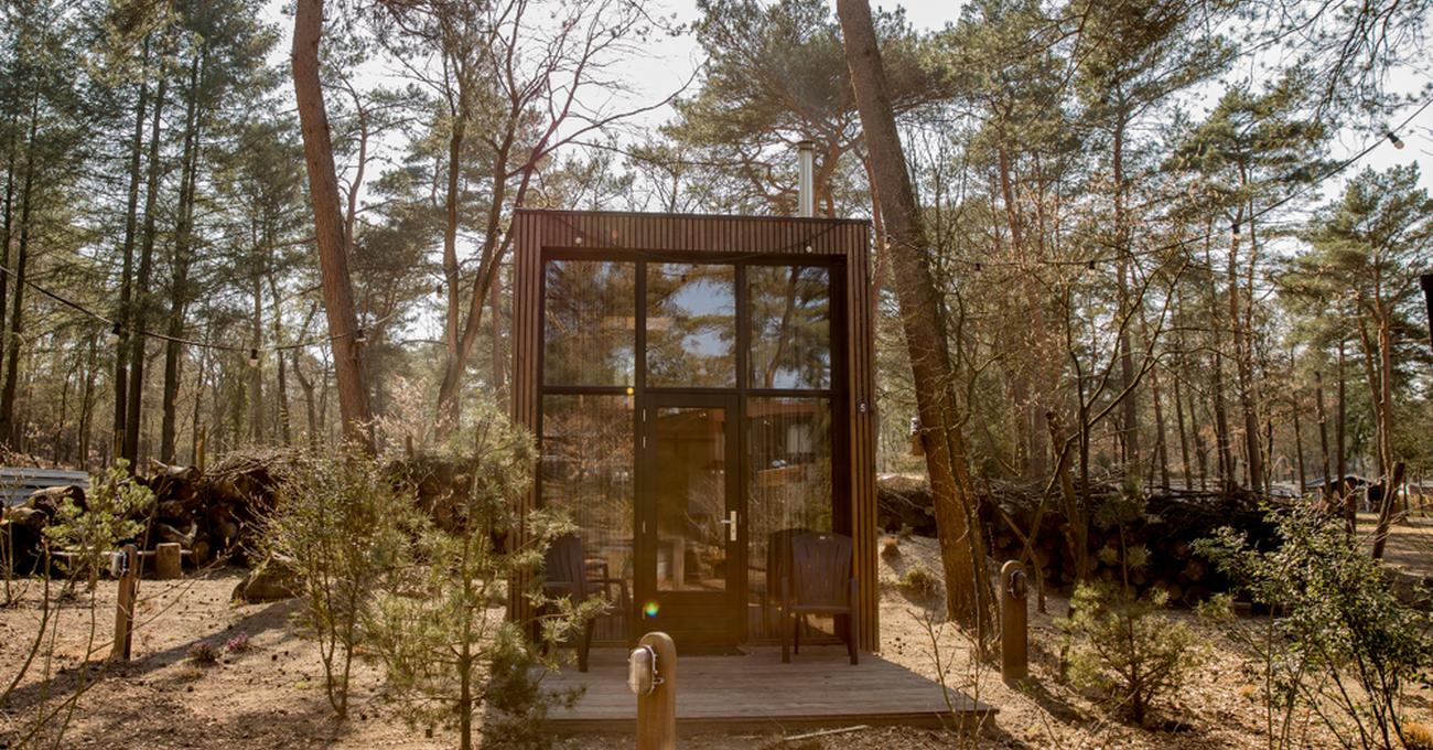 What To Put On Raw Land (And Ways To Use It) | askBAMLand