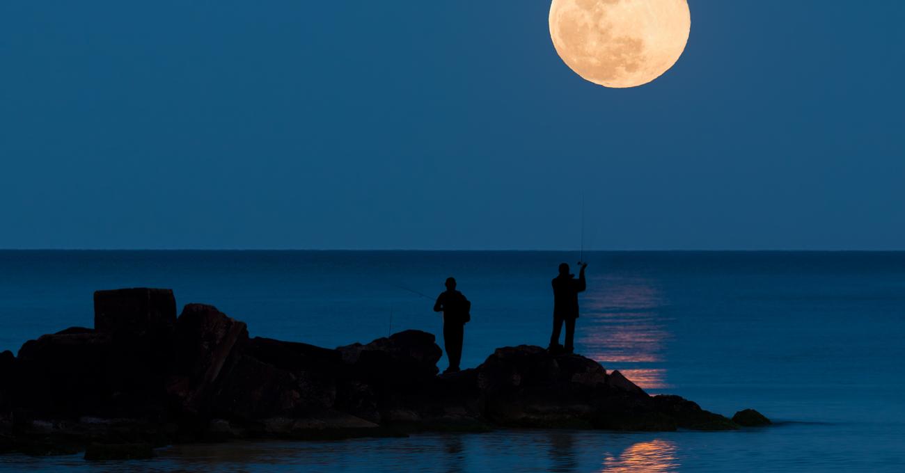 The (Legal) Process Of Buying Land On The Moon | askBAMLand