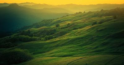 Who Owns The Most Land In The World? | askBAMLand