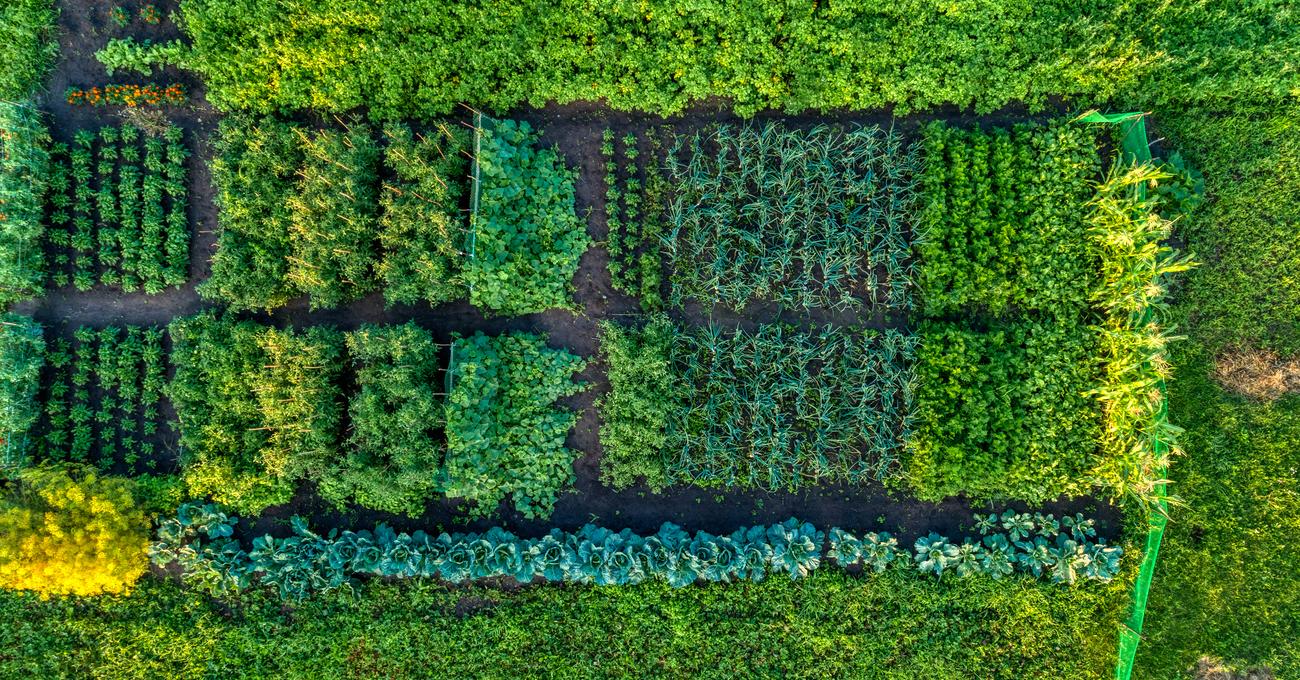 How Much Land Do You Need For A Small Farm? | askBAMLand