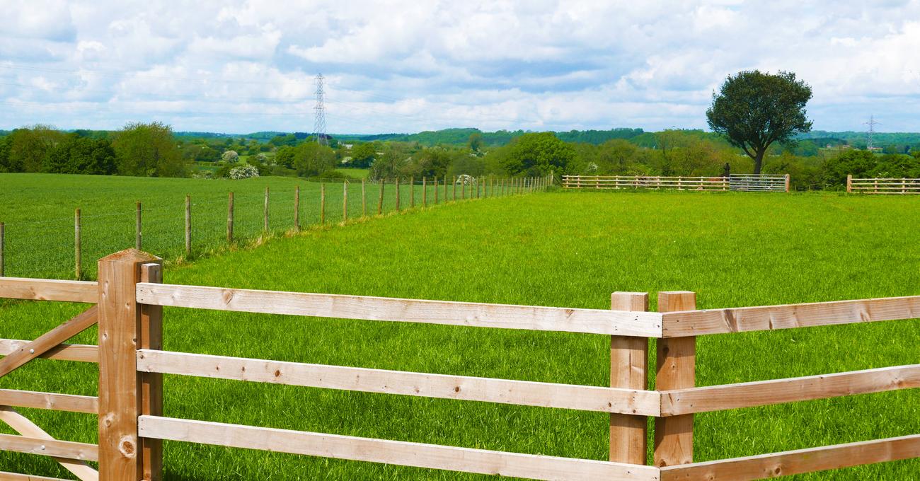 Guide To Cheap Fencing Around Your Agricultural Farm Land