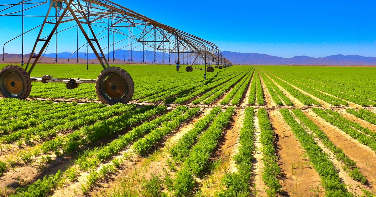 Best Farmland In California | askBAMLand