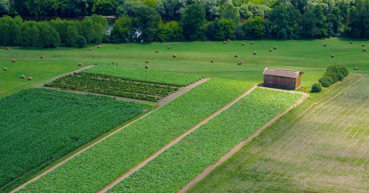 Best Farmland In California | askBAMLand