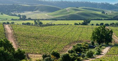Best Farmland In The World | askBAMLand