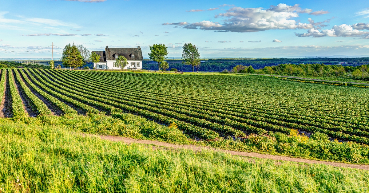 Best Farmland In The World | askBAMLand