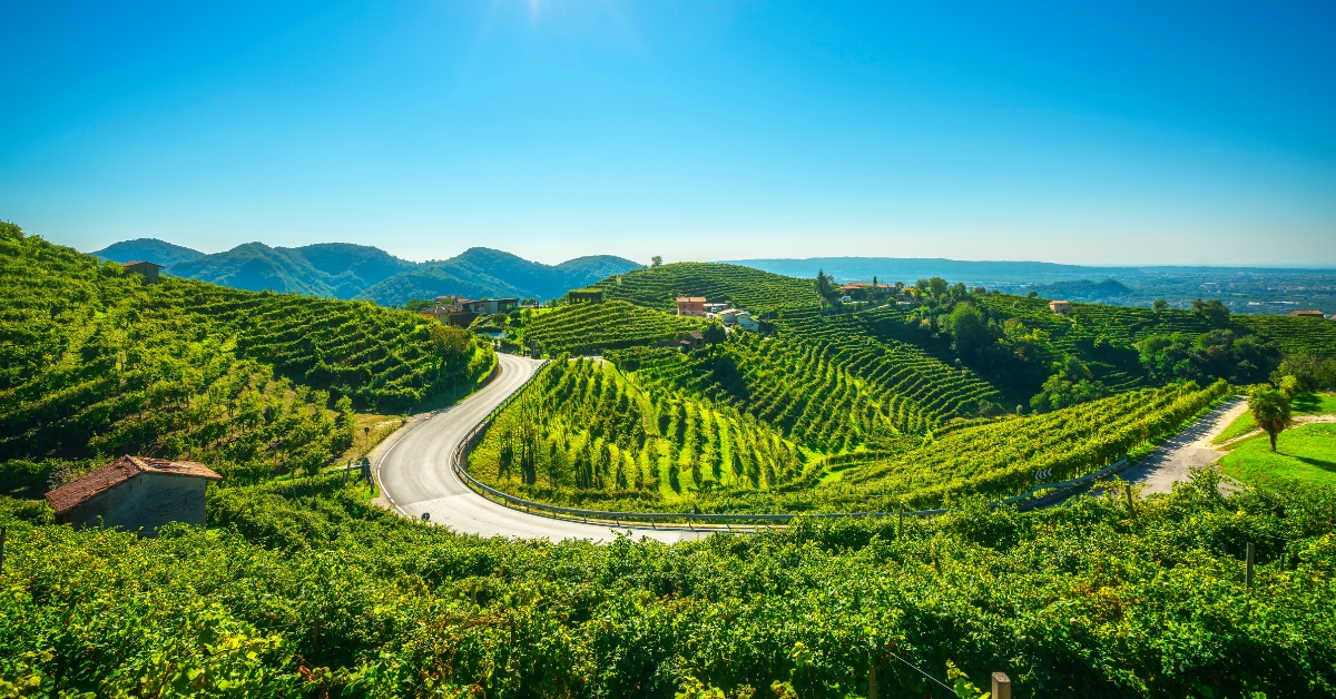 Best Farmland In The World | askBAMLand