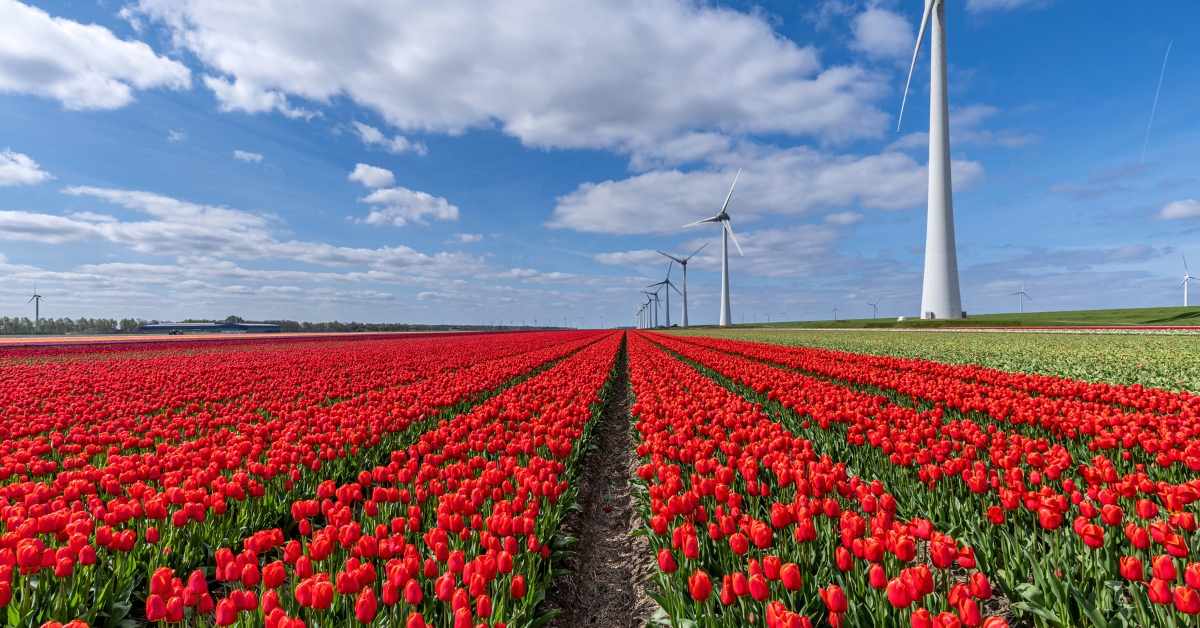 Best Farmland In The World | askBAMLand