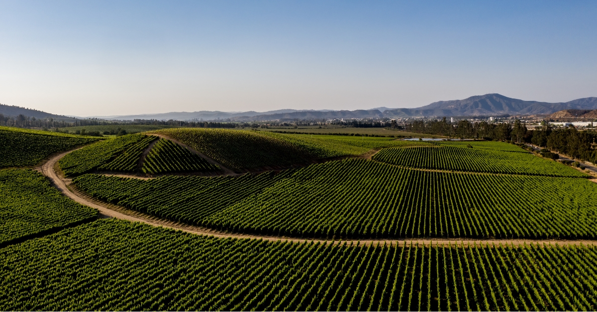 Best Farmland In The World | askBAMLand