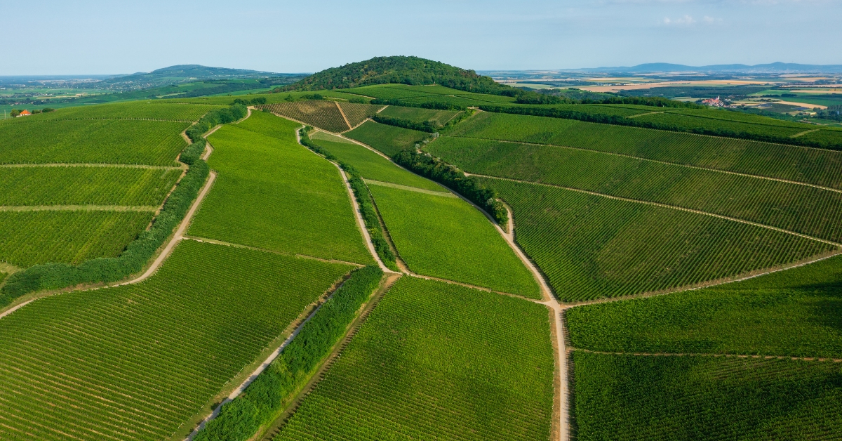 Best Farmland In The World | askBAMLand