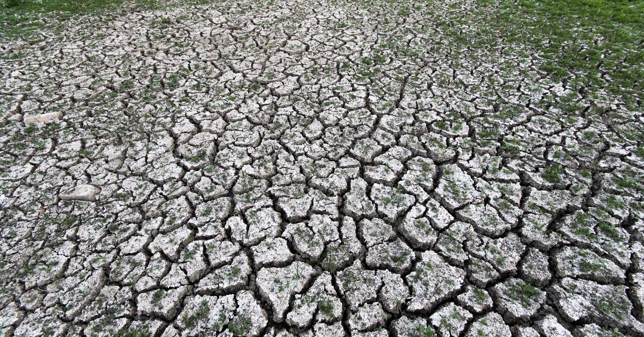 Genius Tricks to Keep Your Agricultural Land From Soil Depletion